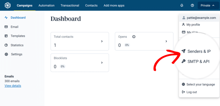 Setting Up the Sendinblue Mailer - Easy WP SMTP