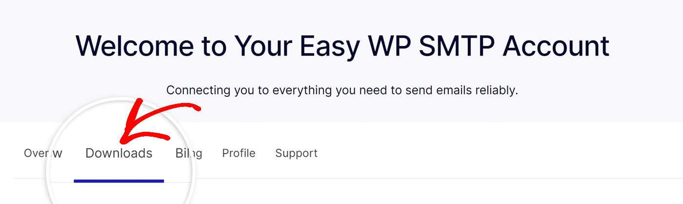 Upgrading to a Higher License Level - Easy WP SMTP